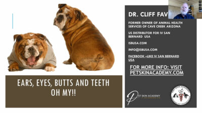 Ears, Eyes, Butts and Teeth – Pet Skin Academy